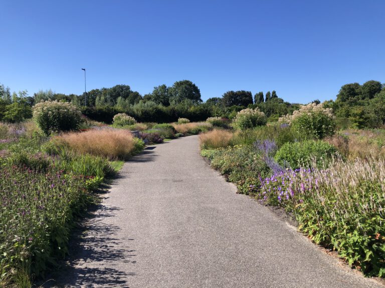 Tuinbezoek aan de Vlinderhof van het Máximapark in Vleuten - MAX Vandaag