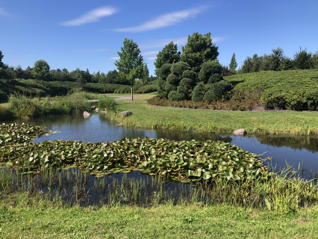 Tuinbezoek aan de Vlinderhof van het Máximapark in Vleuten - MAX Vandaag