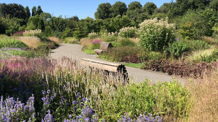 Tuinbezoek aan de Vlinderhof van het Máximapark in Vleuten - MAX Vandaag