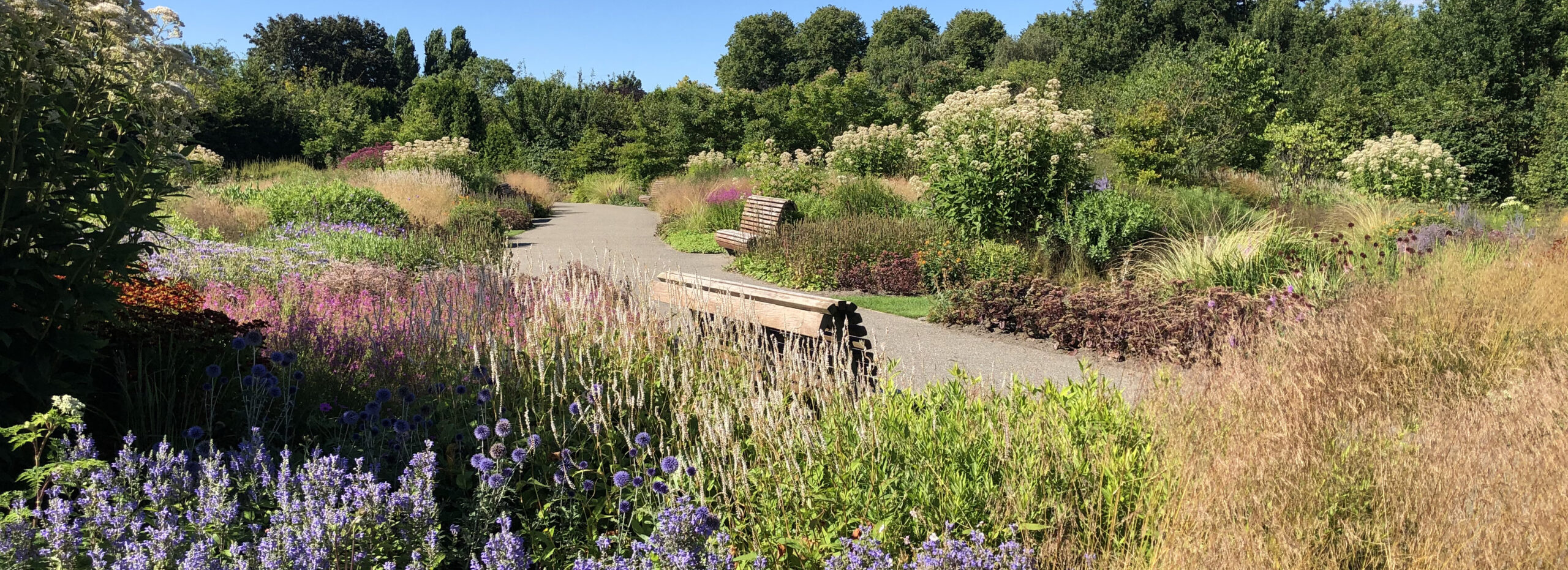 Tuinbezoek aan de Vlinderhof van het Máximapark in Vleuten - MAX Vandaag