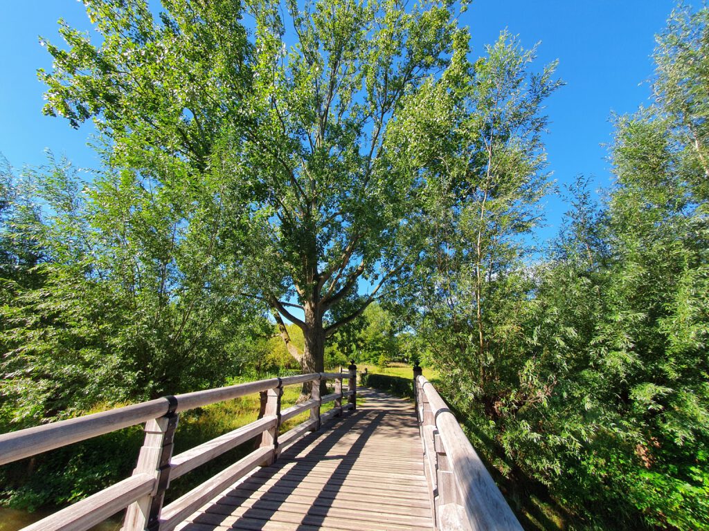 Tuinbezoek aan de Vlinderhof van het Máximapark in Vleuten - MAX Vandaag