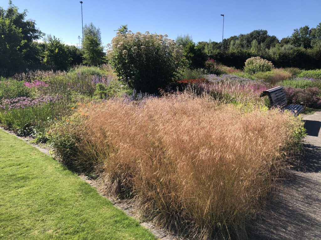Tuinbezoek aan de Vlinderhof van het Máximapark in Vleuten - MAX Vandaag