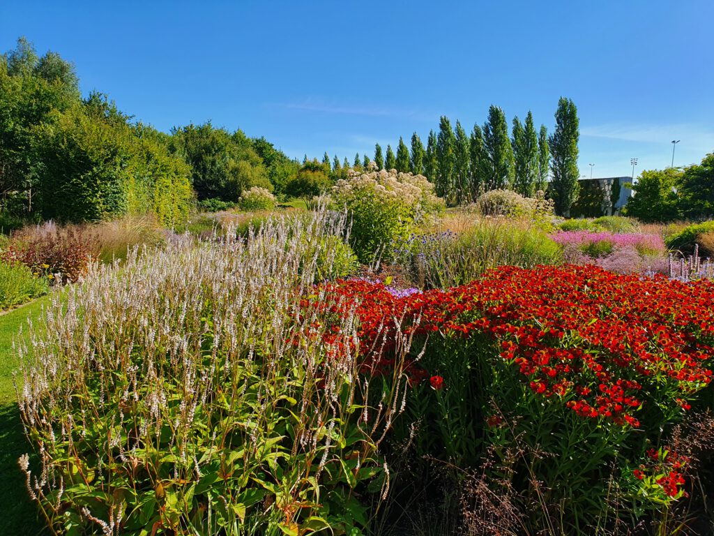 Tuinbezoek aan de Vlinderhof van het Máximapark in Vleuten - MAX Vandaag