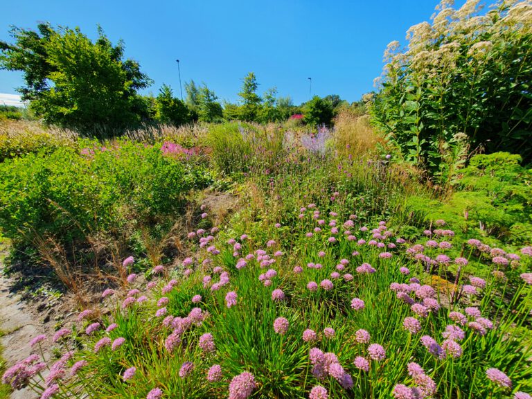 Tuinbezoek aan de Vlinderhof van het Máximapark in Vleuten - MAX Vandaag