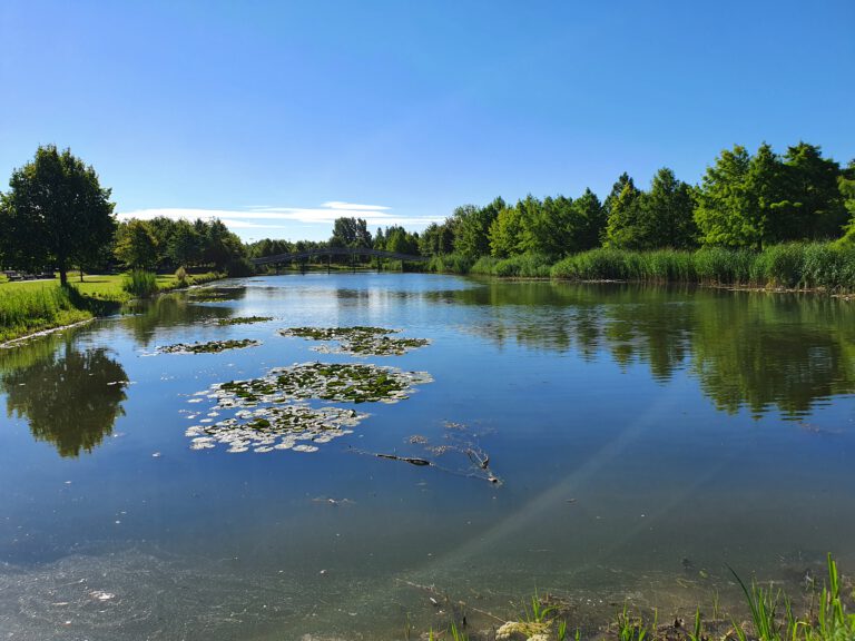 Tuinbezoek aan de Vlinderhof van het Máximapark in Vleuten - MAX Vandaag