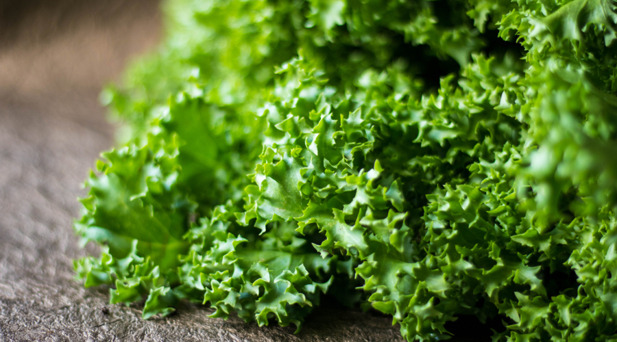 Dit zijn de vele gezondheidsvoordelen van andijvie - MAX Vandaag