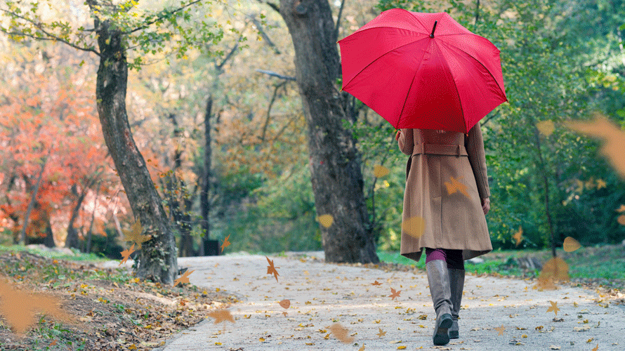 Waarom valt er in de herfst zoveel regen? - MAX Vandaag