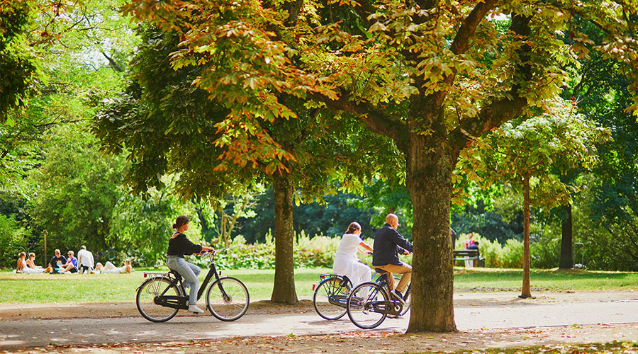Wat is het verschil tussen een meteorologisch en astronomisch seizoen ...
