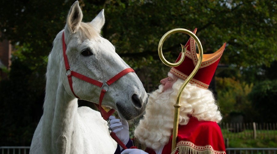 MAX Vandaag puzzel: maak Sinterklaas en zijn paard compleet - MAX Vandaag