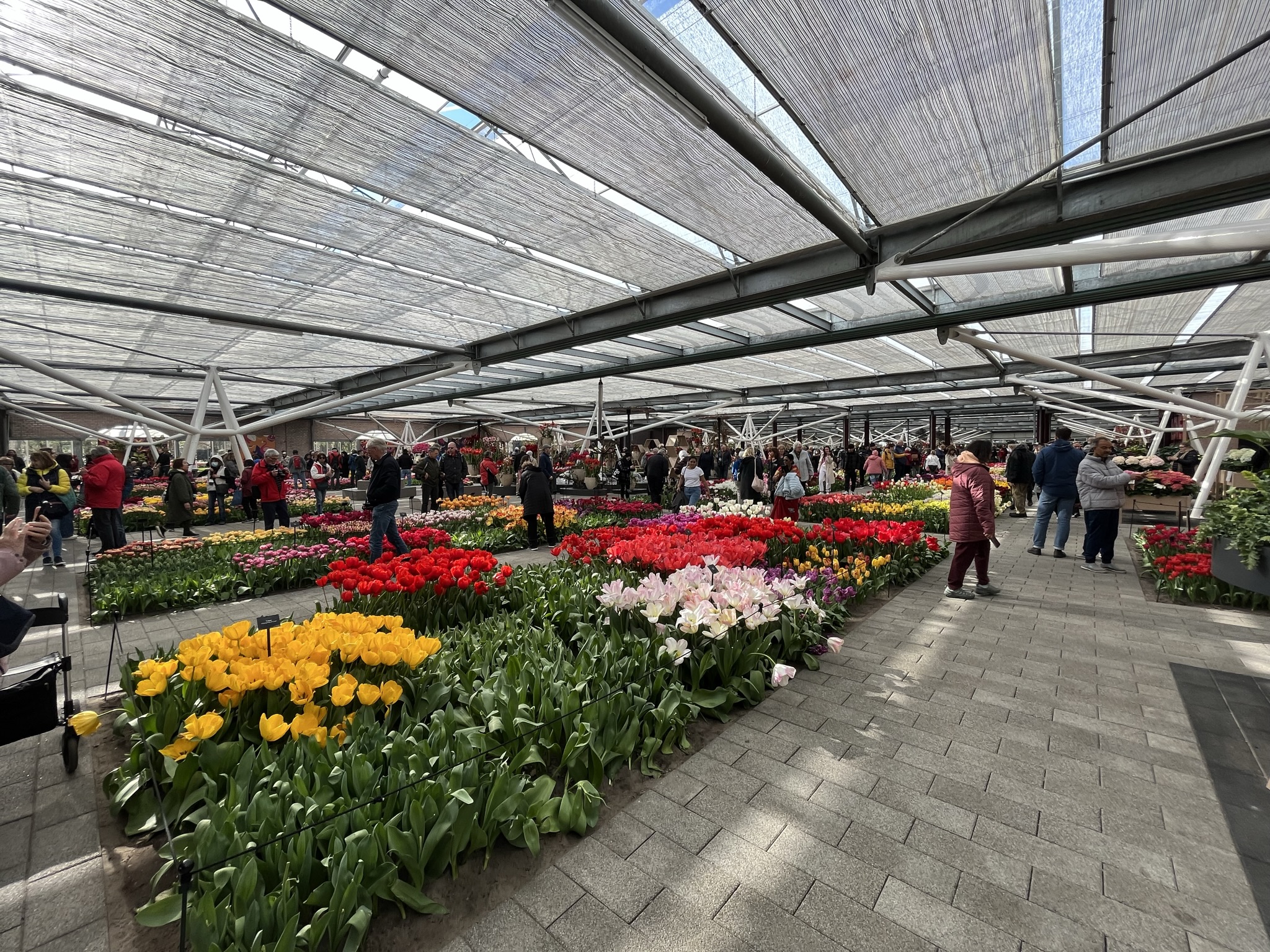 Tuinbezoek: de Keukenhof in 25 foto's - MAX Vandaag