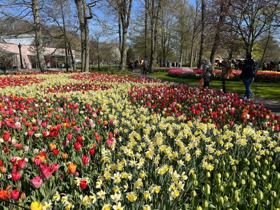 Tuinbezoek: de Keukenhof in 25 foto's - MAX Vandaag
