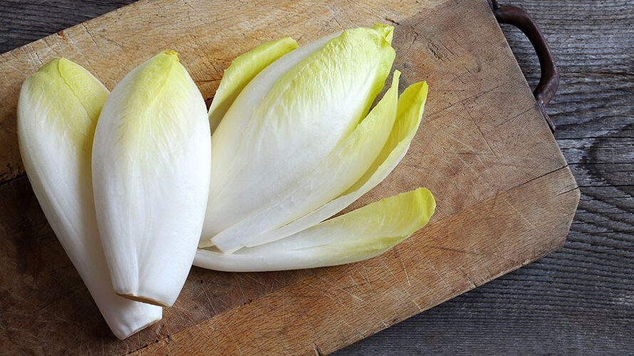 Witlofovenschotel van Brenda Hoff - MAX Vandaag