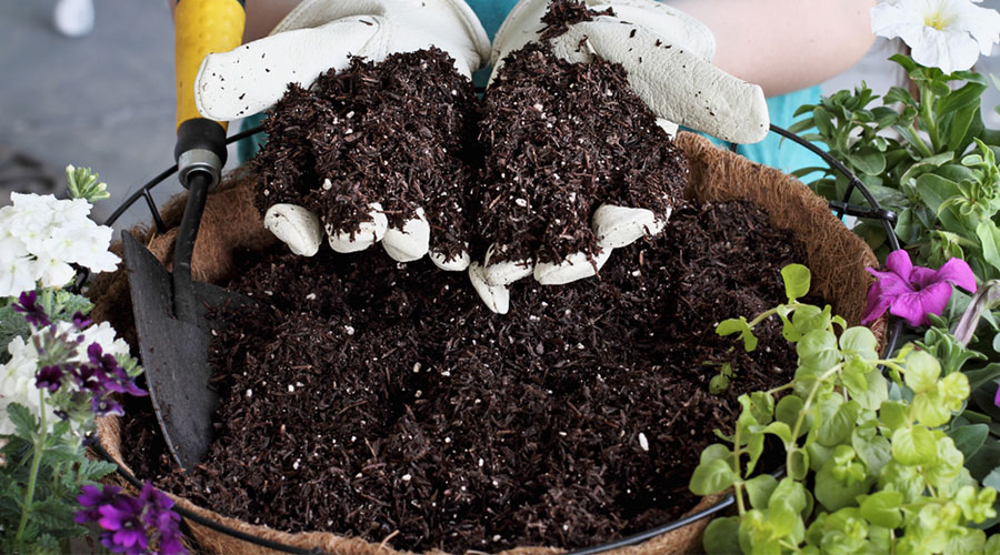 Potgrond hergebruiken: zo kunt u oude aarde verbeteren en opnieuw ...
