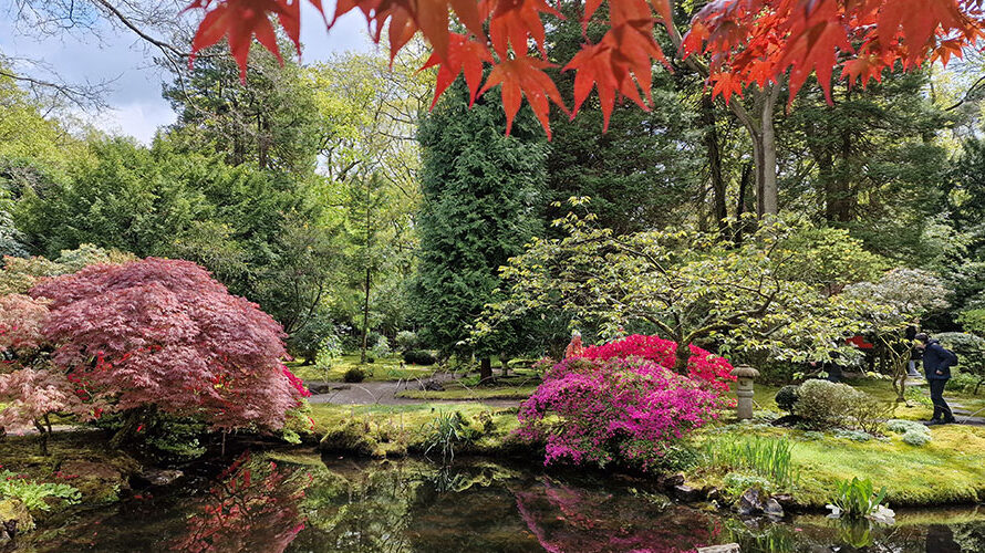 Tuinbezoek: de Japanse tuin op Landgoed Clingendael in Den Haag - MAX Vandaag