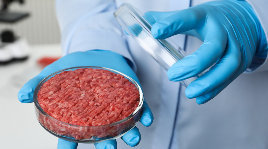 Wat is kweekvlees en gaat het op korte termijn vlees vervangen? - MAX ...