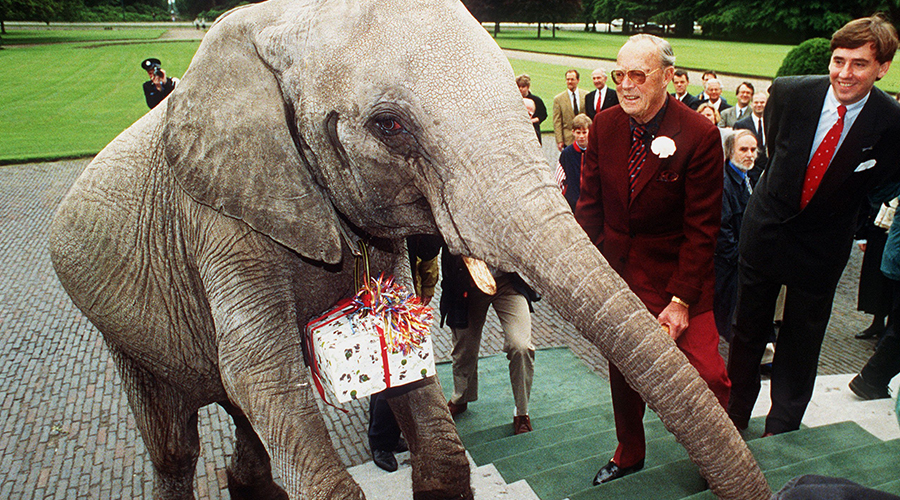 Paul Rem: 'Arme olifanten...' - MAX Vandaag