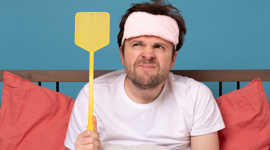 Dit is de effectiefste manier om muggen dood te slaan - MAX Vandaag