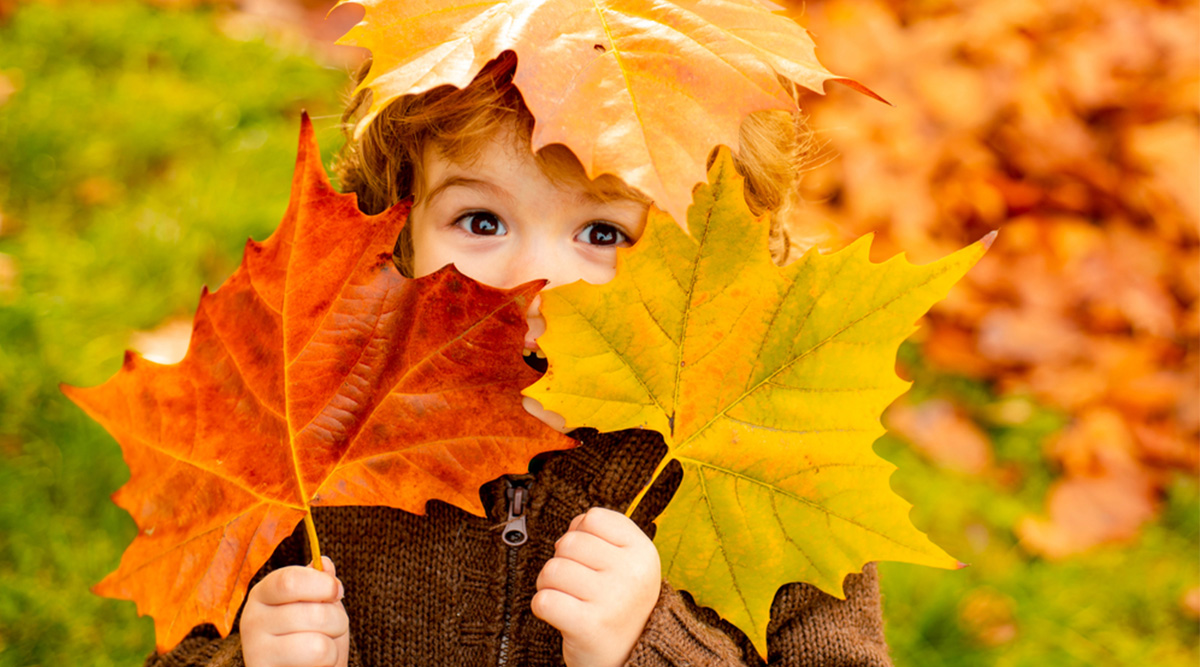 MAX Vandaag puzzel: maak het kind met de bladeren compleet - MAX Vandaag