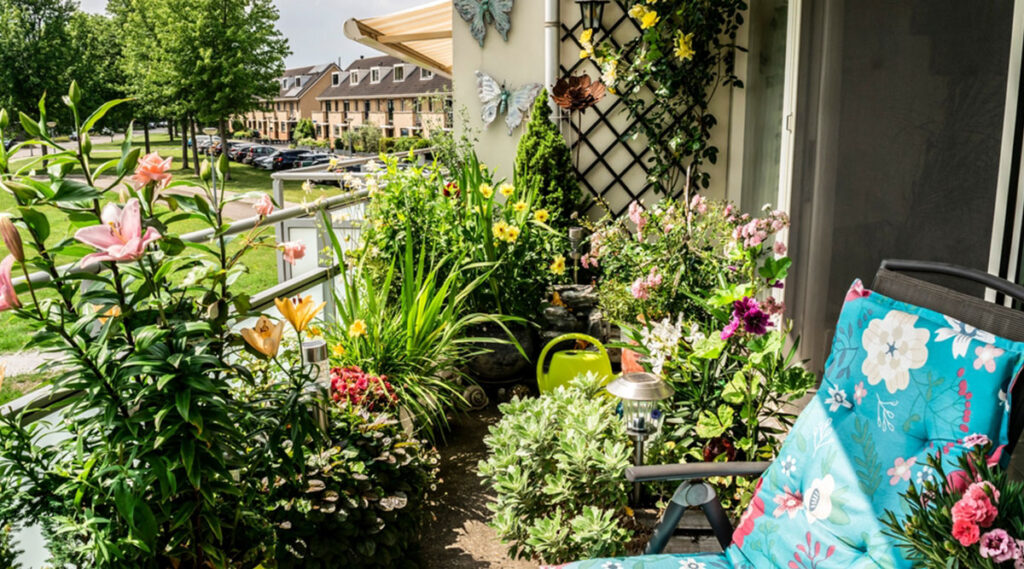 Welke planten kunnen op een balkon of dakterras? Dit zijn 11 geschikte ...